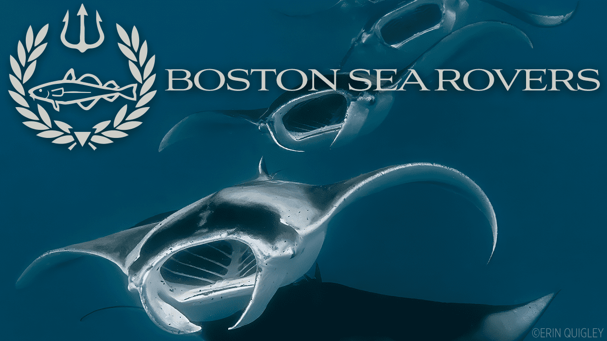 Events Archives - Boston Sea Rovers